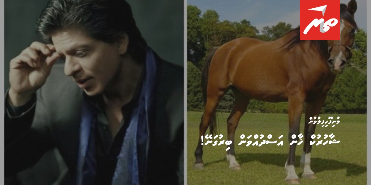 Shahrukh Khan ass dhuvvan biruganey!